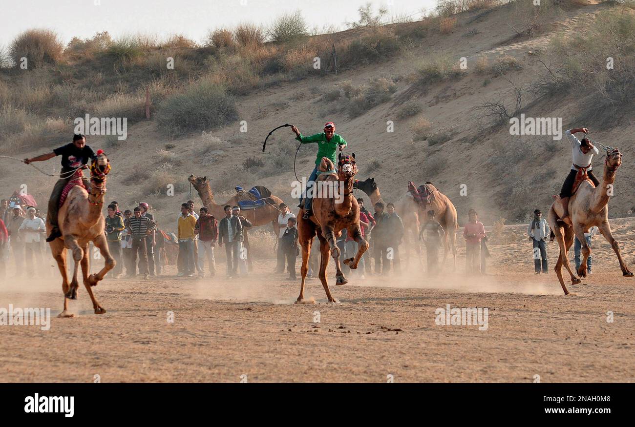 Indians race on camels at the annual camel festival in Bikaner, India ...