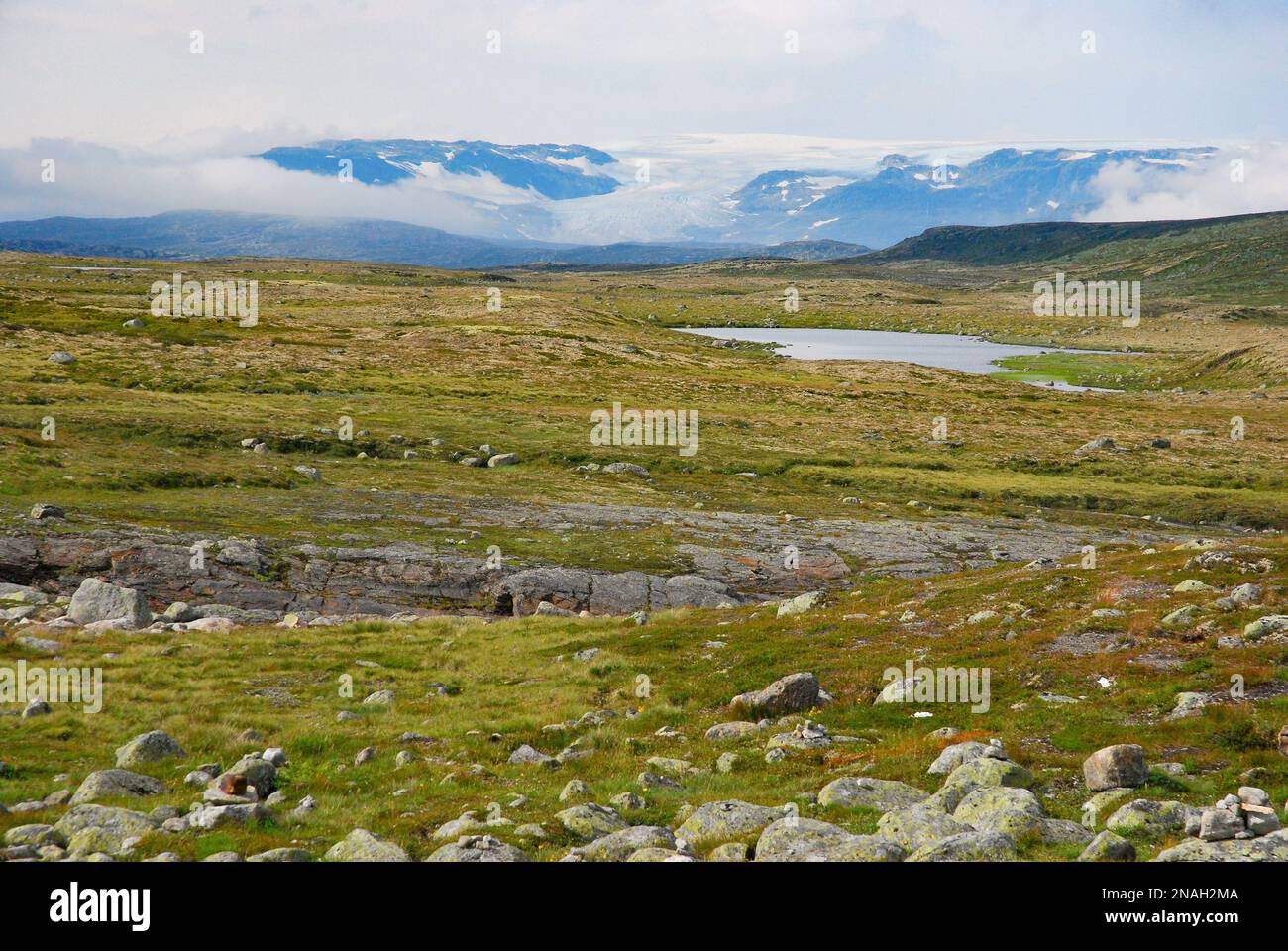 Raw Norwegian landscape - panorama, view of pastures, lake and ...