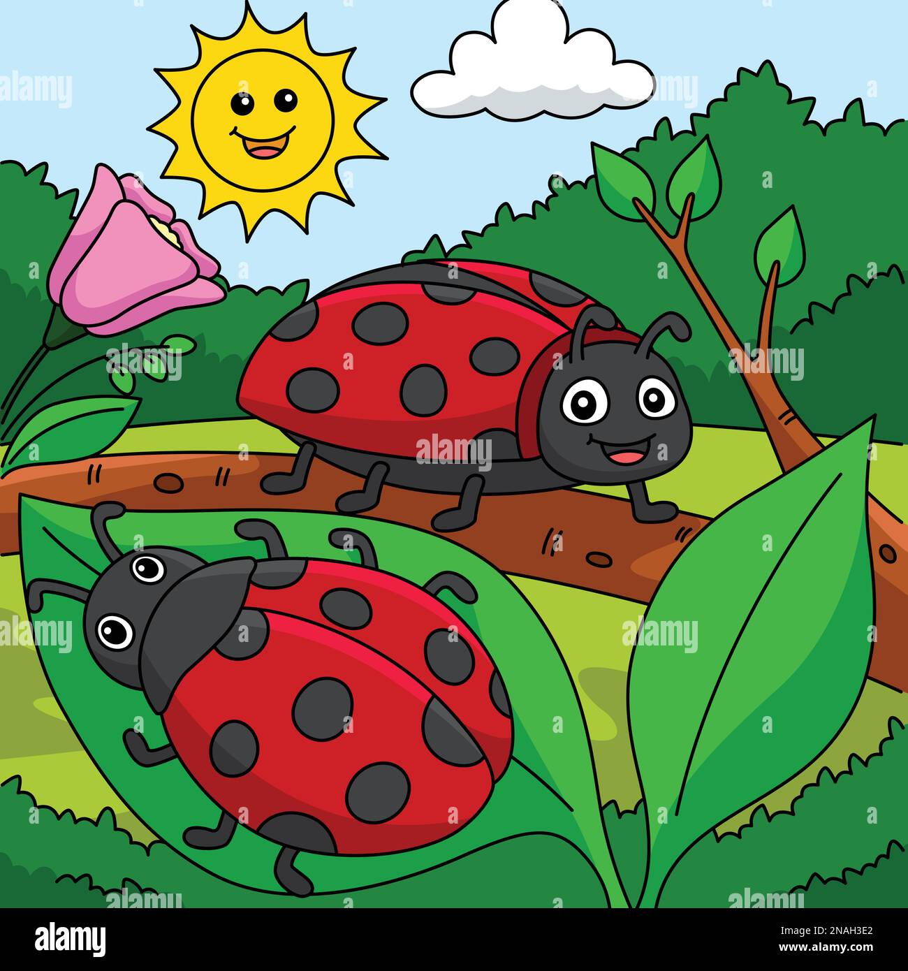 Ladybeetle illustration Stock Vector Images - Alamy