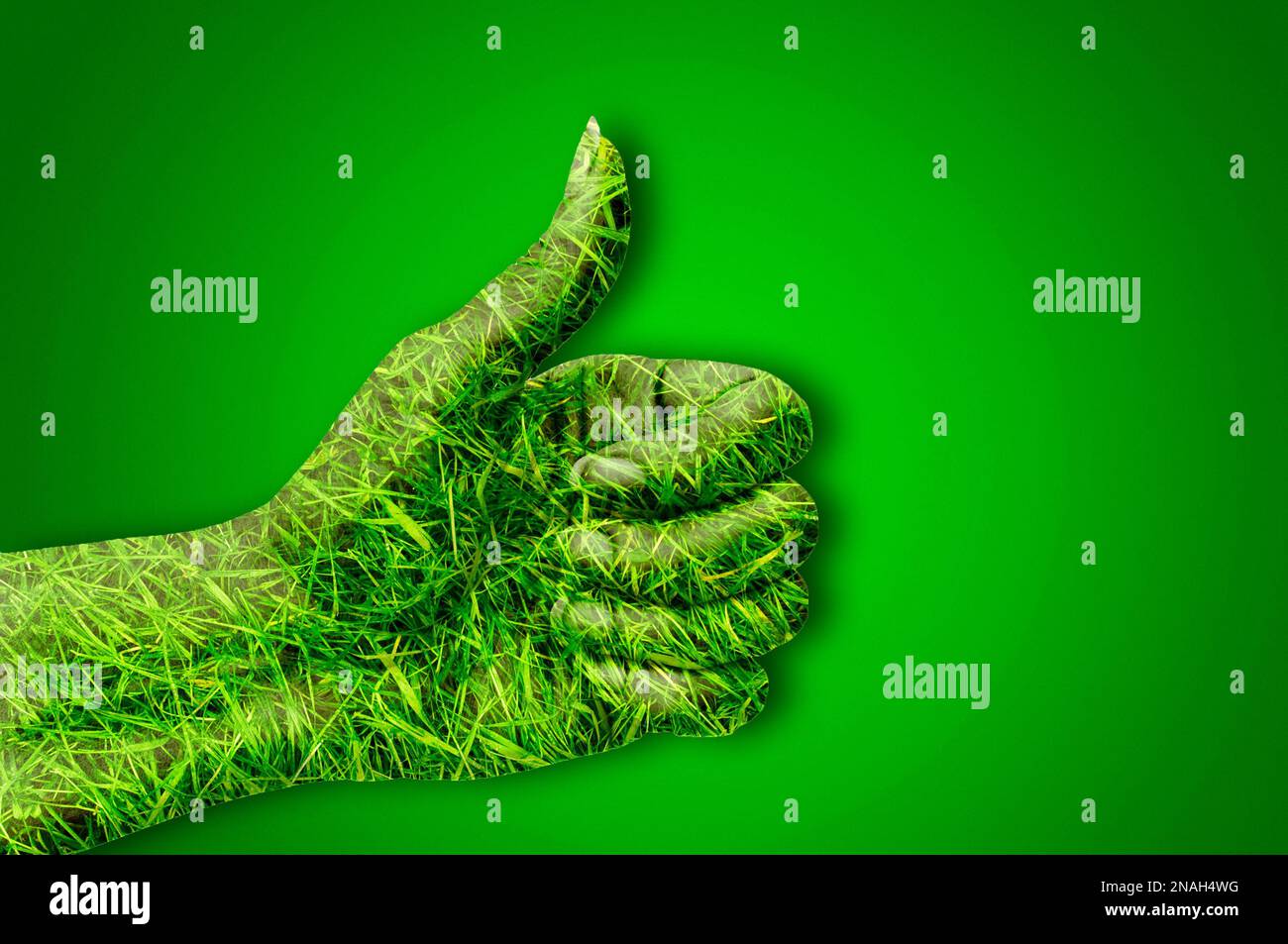 Environment awareness hi-res stock photography and images - Alamy
