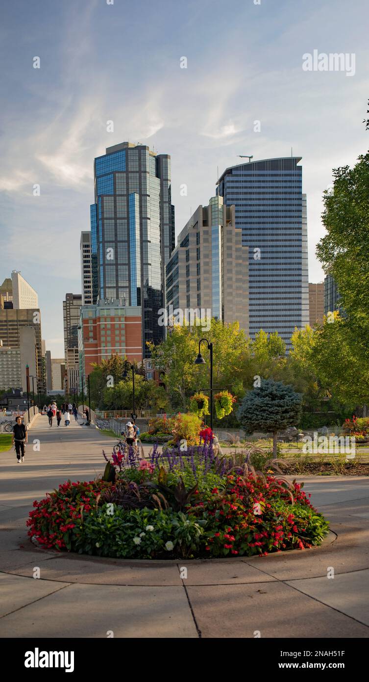 Flowerbeds downtown park hi-res stock photography and images - Alamy