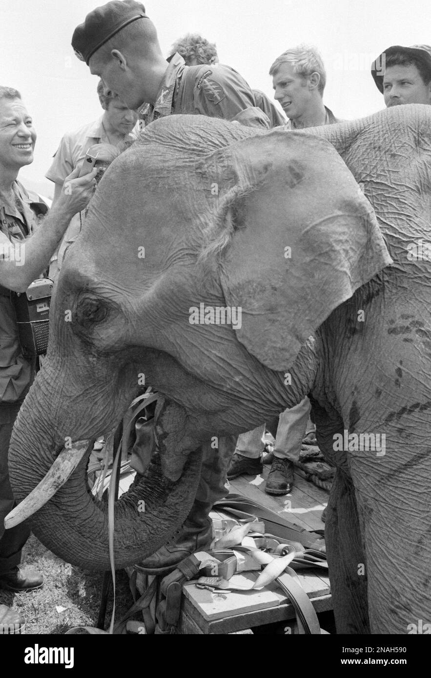 Operation Barroom is an effort led by U.S. Army Capt. John Gantt to ...