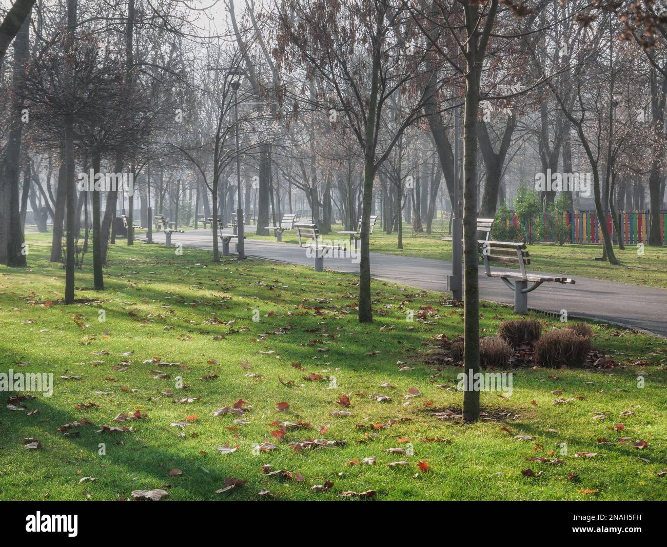 Foggy morning landscape with the benches, the trees and foot path in ...