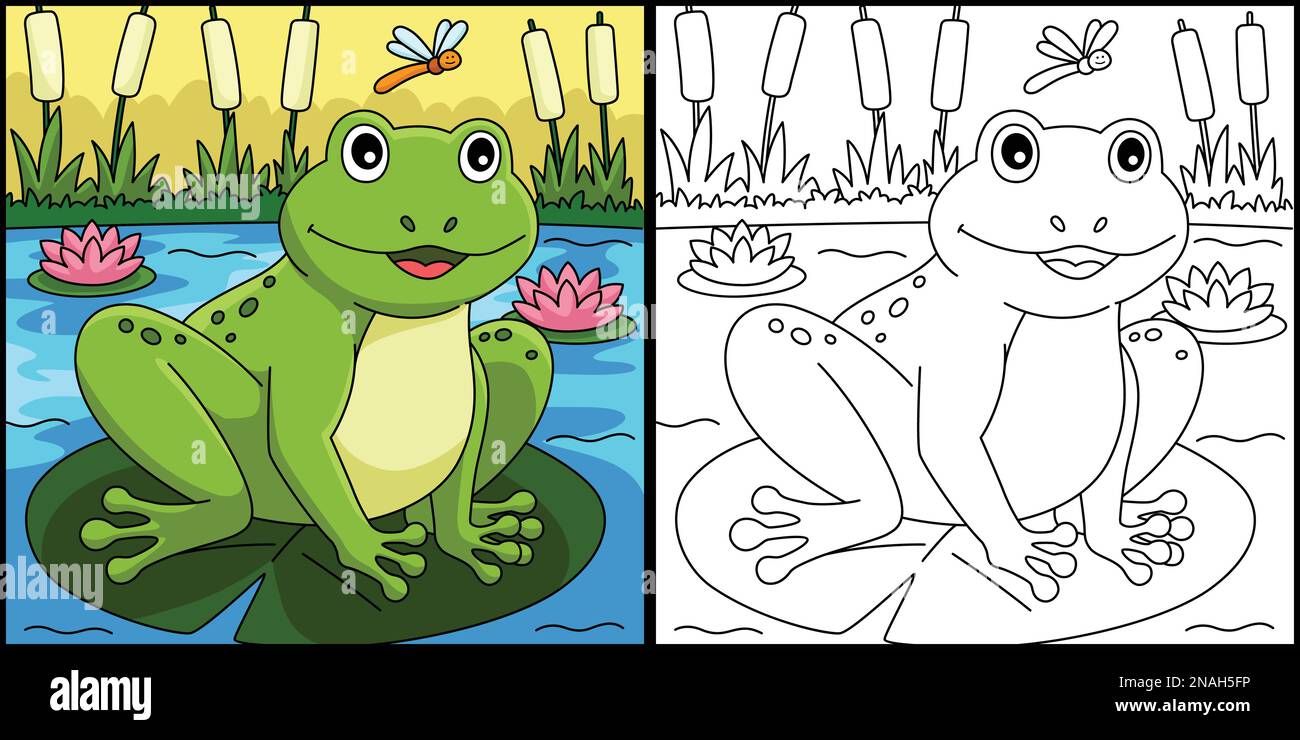 Spring Frog on a Water Lily Coloring Illustration Stock Vector Image ...