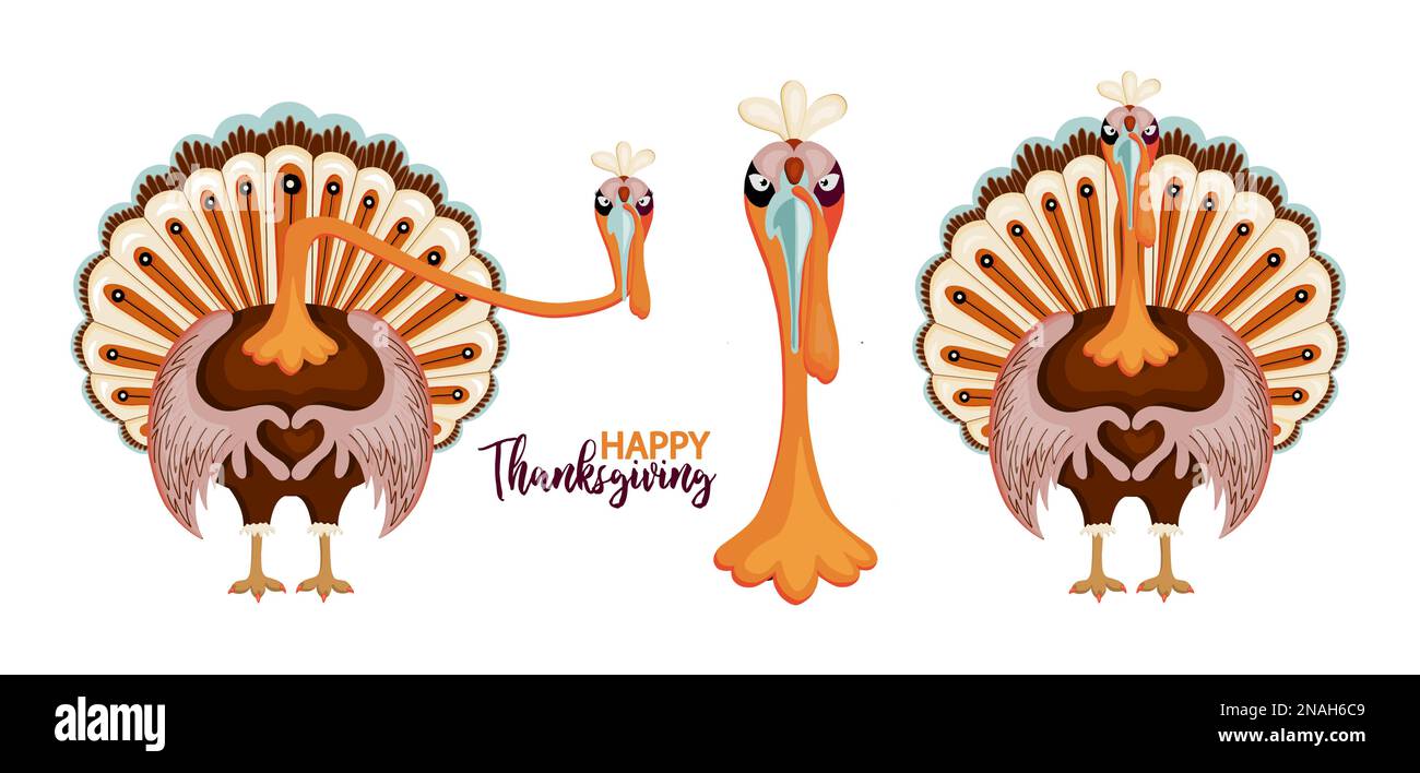 Thanksgiving day turkey character. Turkey isolated on white background ...