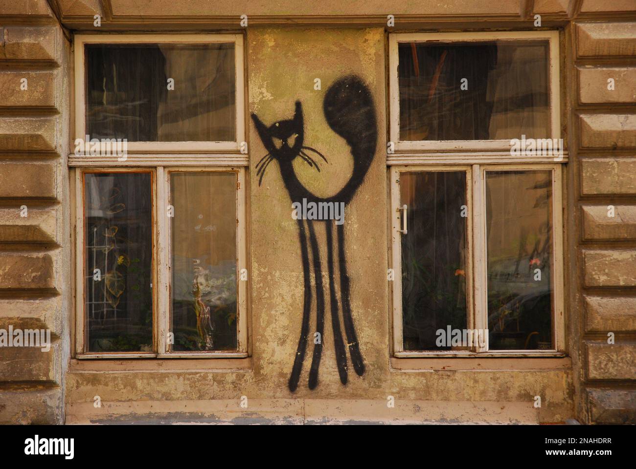 A black cat painted on the brown wall of a building between two windows ...