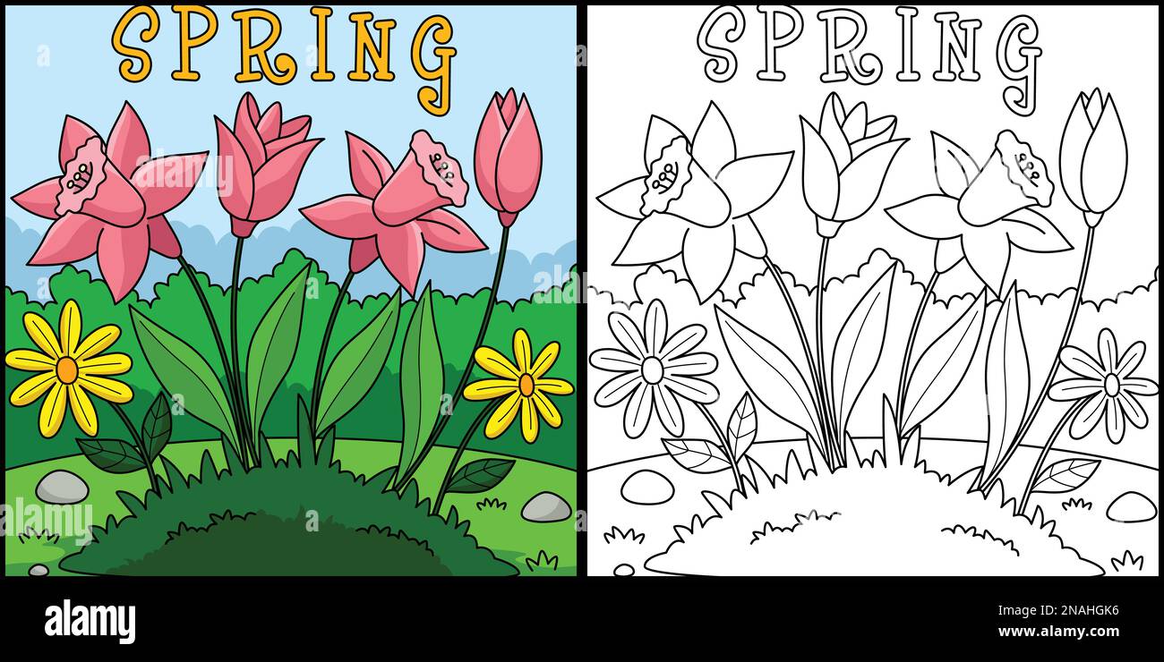 Tulip Flower Coloring Page