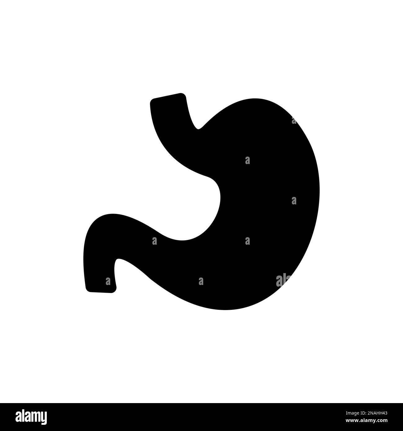 Gastritis vector vectors Black and White Stock Photos & Images - Alamy