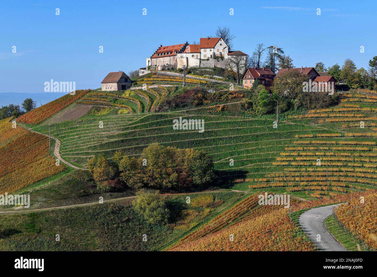 Staufenberg Castle, 11th century high castle, Durbach, Ortenaukreis ...