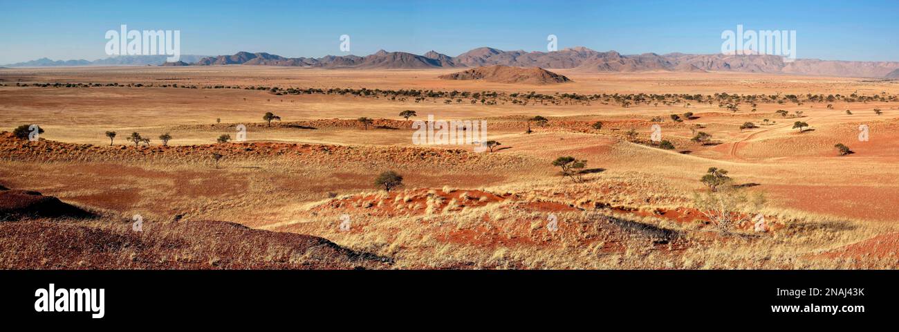 Dune landscape, panorama, Gondwana Namib Park, near Sesriem, Hardap ...