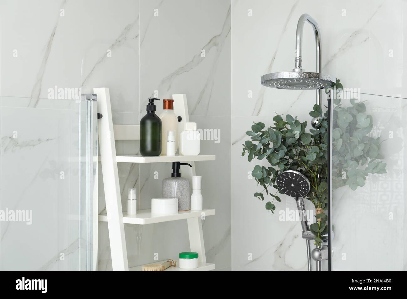 Branches with green eucalyptus leaves in shower Stock Photo - Alamy