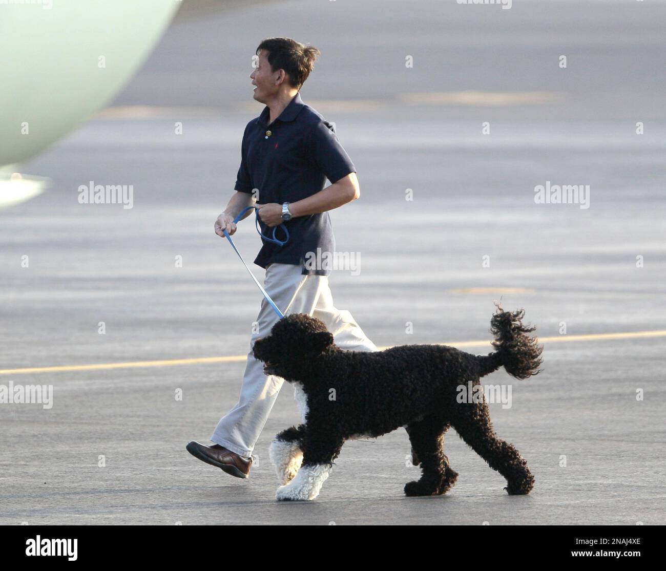 Bo the Presidential dog is led up the back of Air Force One before the ...
