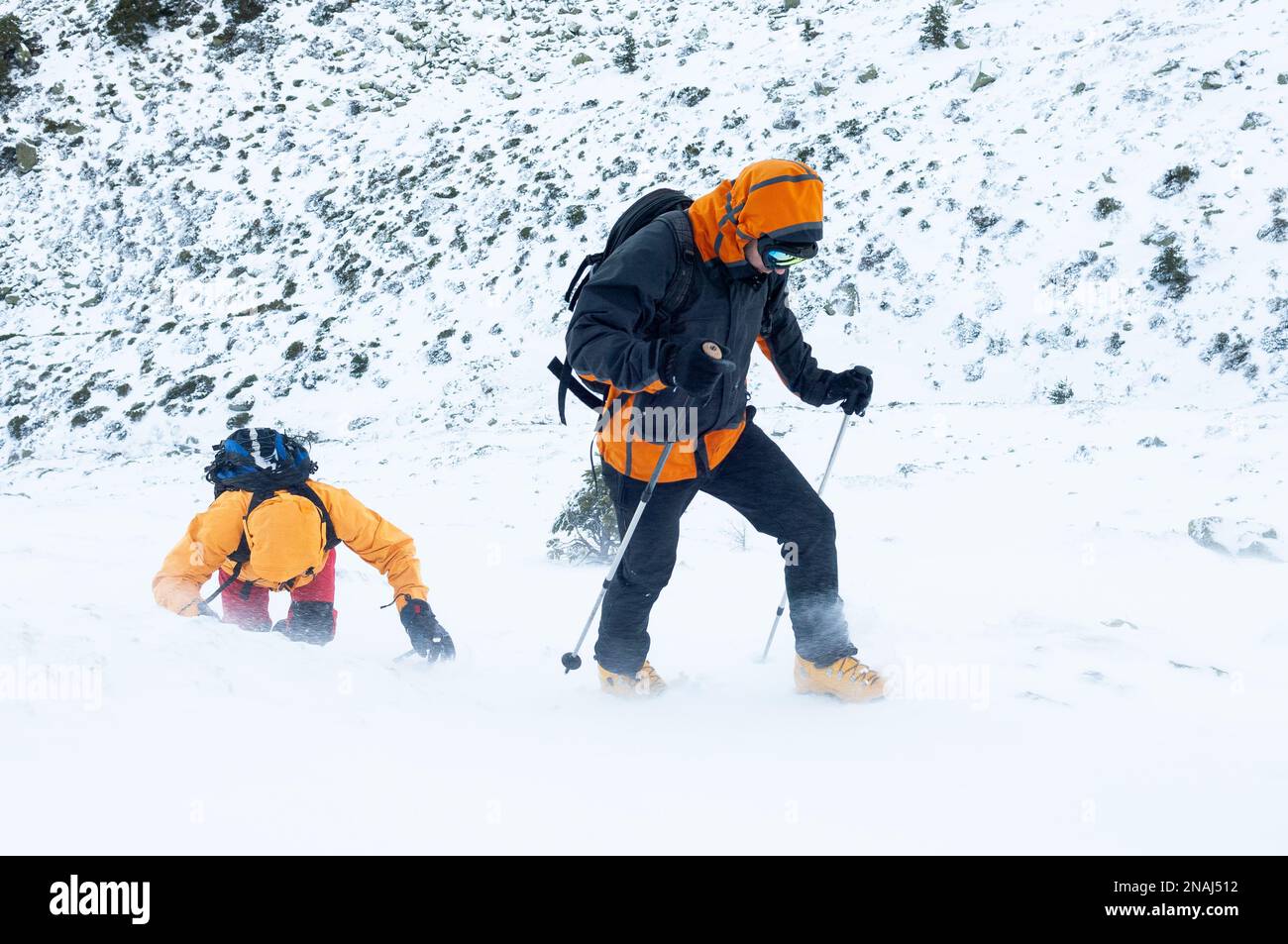 Snow hikers climbing a snowy mountain during a snowstorm in Cabezas de ...