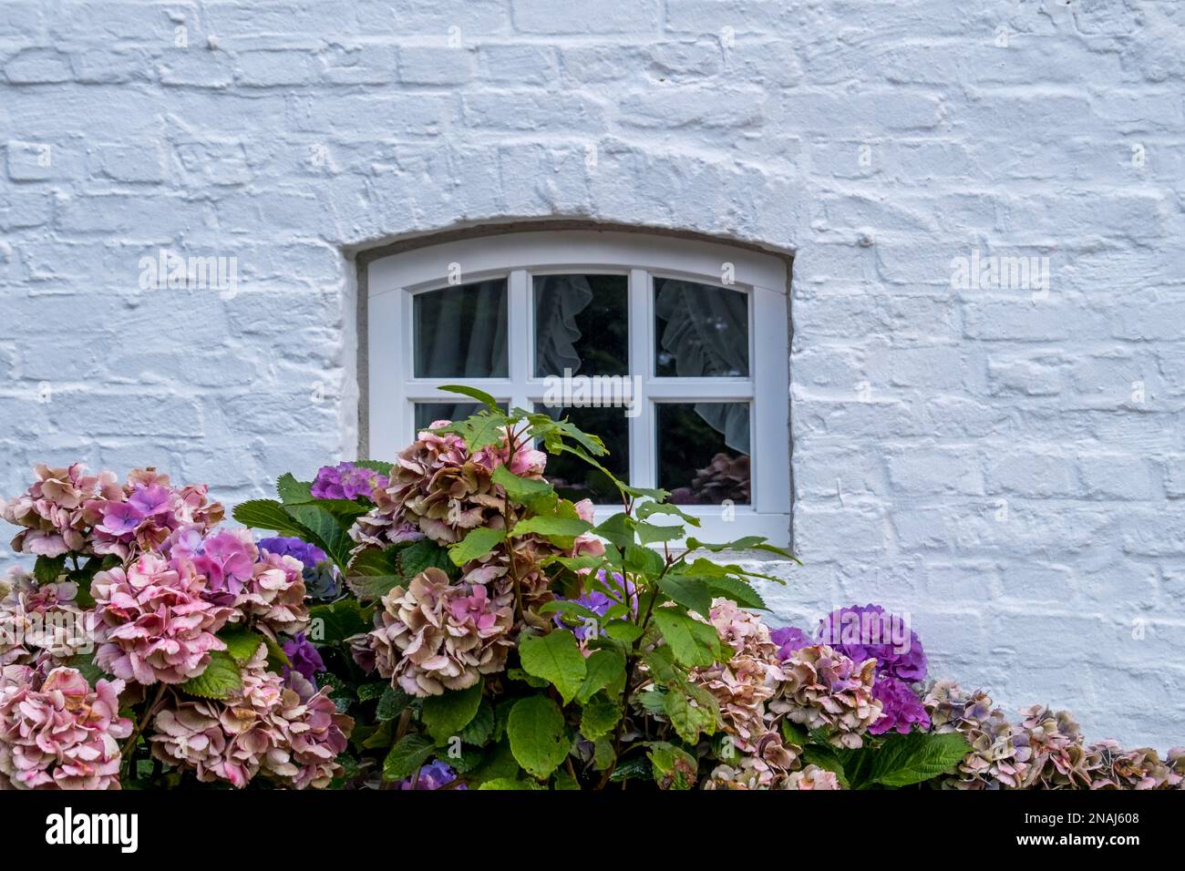 Small window with hydrangeas Stock Photo - Alamy