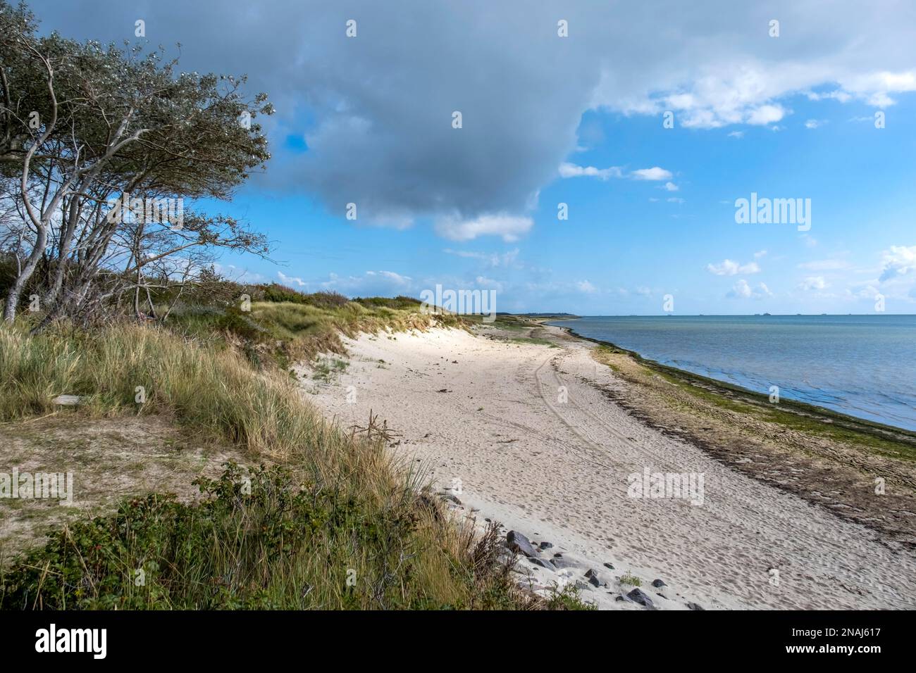 Beach near Hedehusum, Utersum, North Sea Island Foehr Stock Photo - Alamy