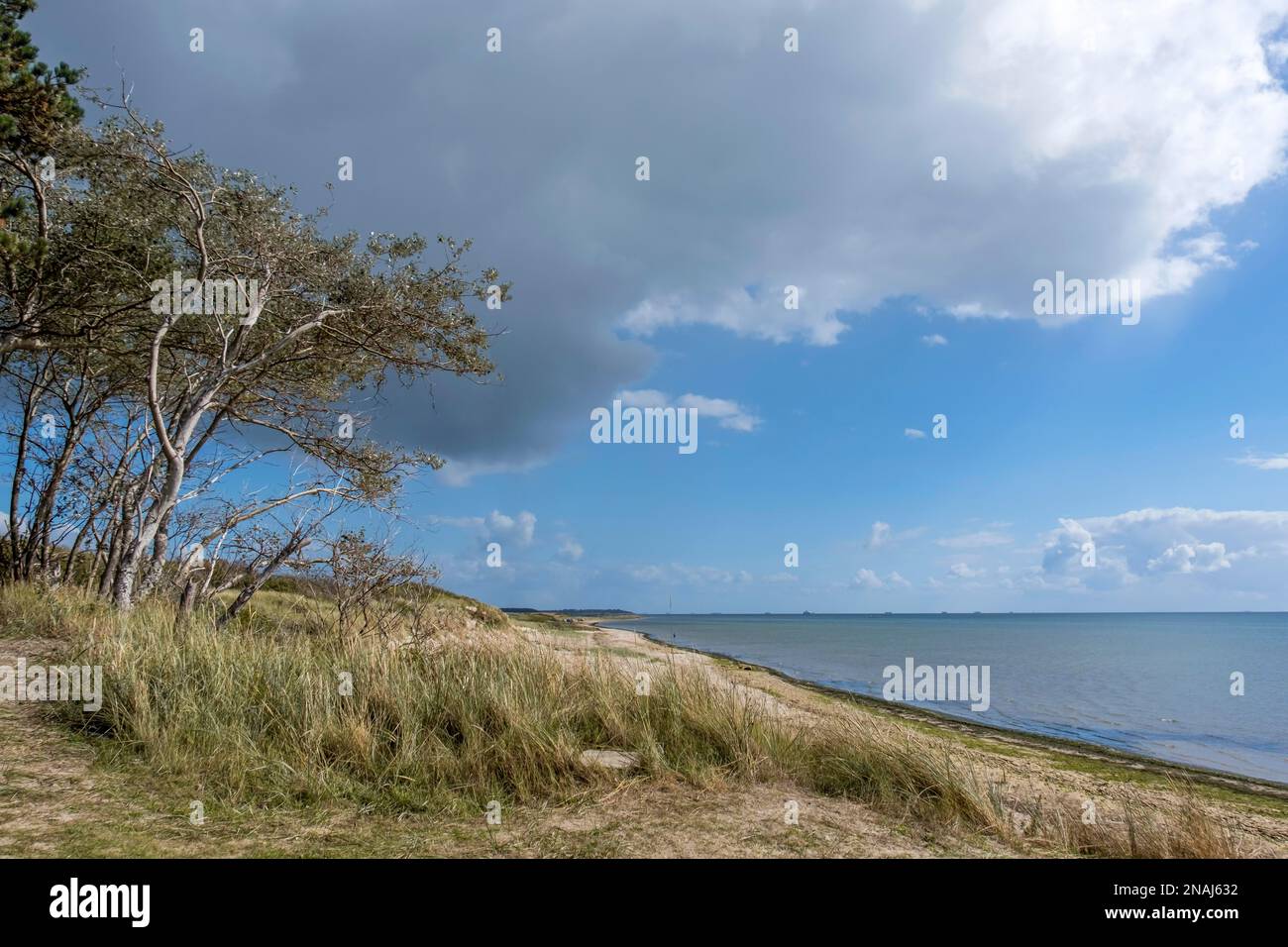 Beach near Hedehusum, Utersum, North Sea Island Foehr Stock Photo - Alamy