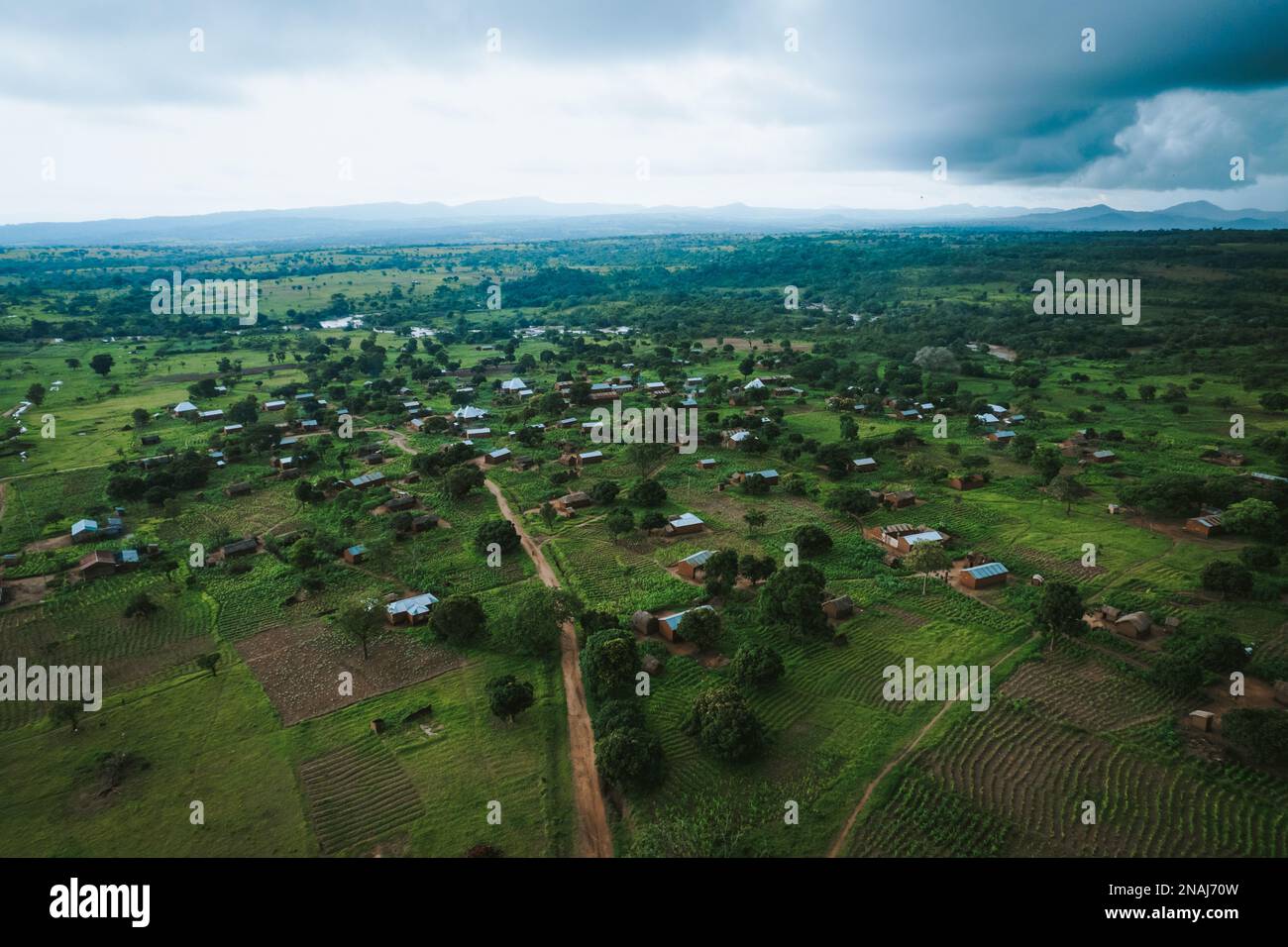 06.02.2023 - Tunduma, Tanzania - Mud brick houses with thatch roofing ...
