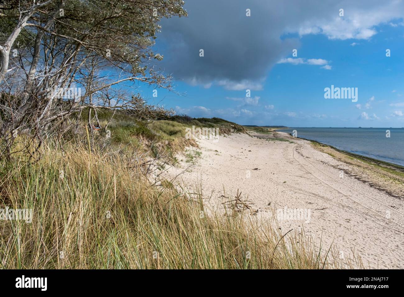 Beach near Hedehusum, Utersum, North Sea Island Foehr Stock Photo - Alamy