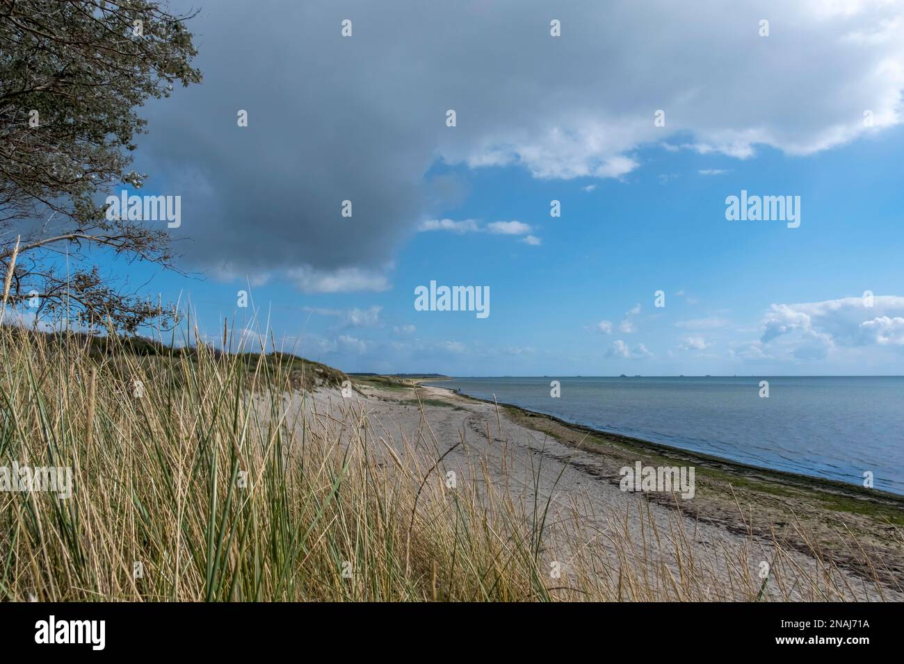 Beach near Hedehusum, Utersum, North Sea Island Foehr Stock Photo - Alamy