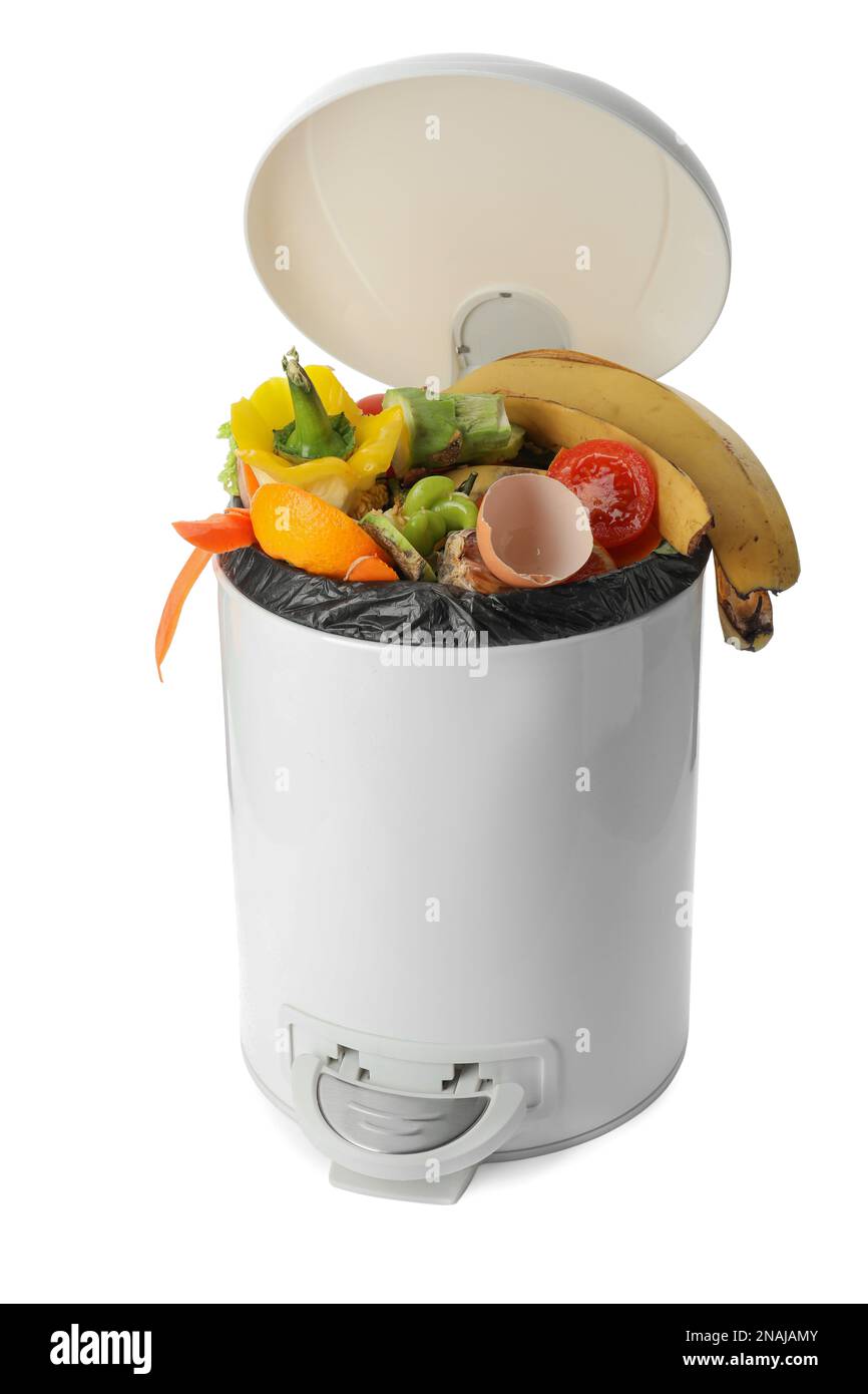 Trash bin with organic waste for composting on white background Stock ...