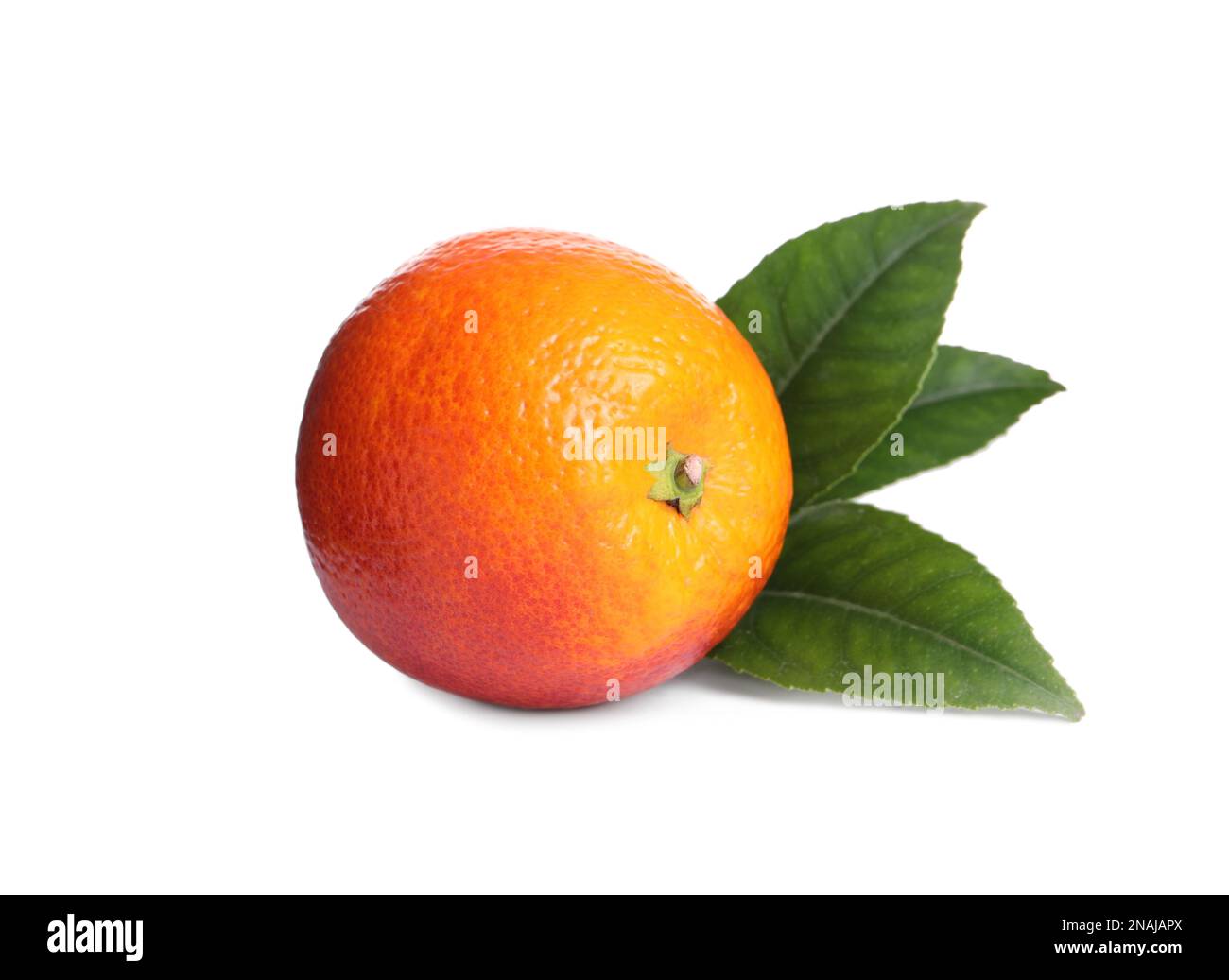 Whole ripe red orange with green leaves on white background Stock Photo ...