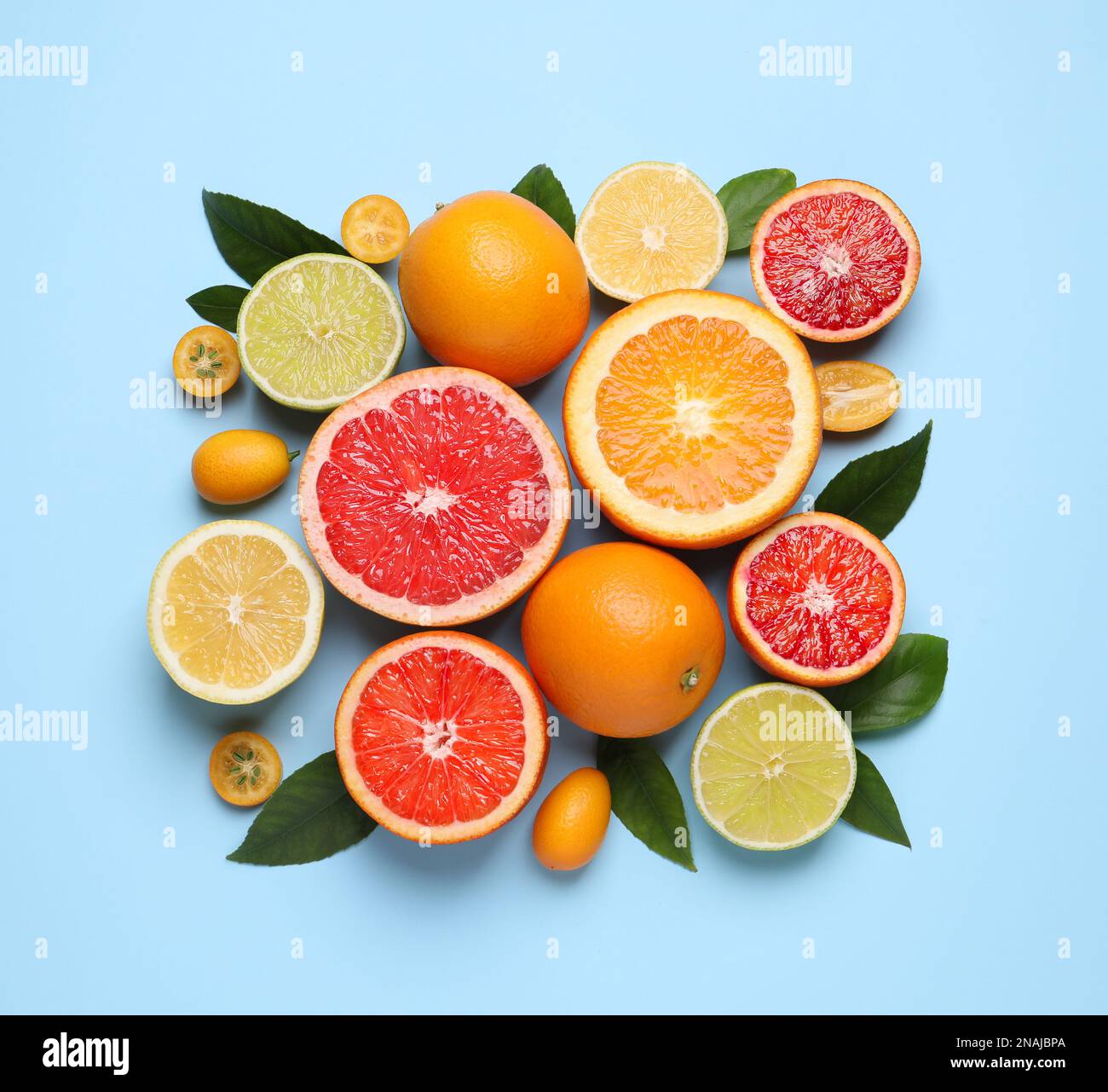 Fresh juicy citrus fruits with green leaves on light blue background ...