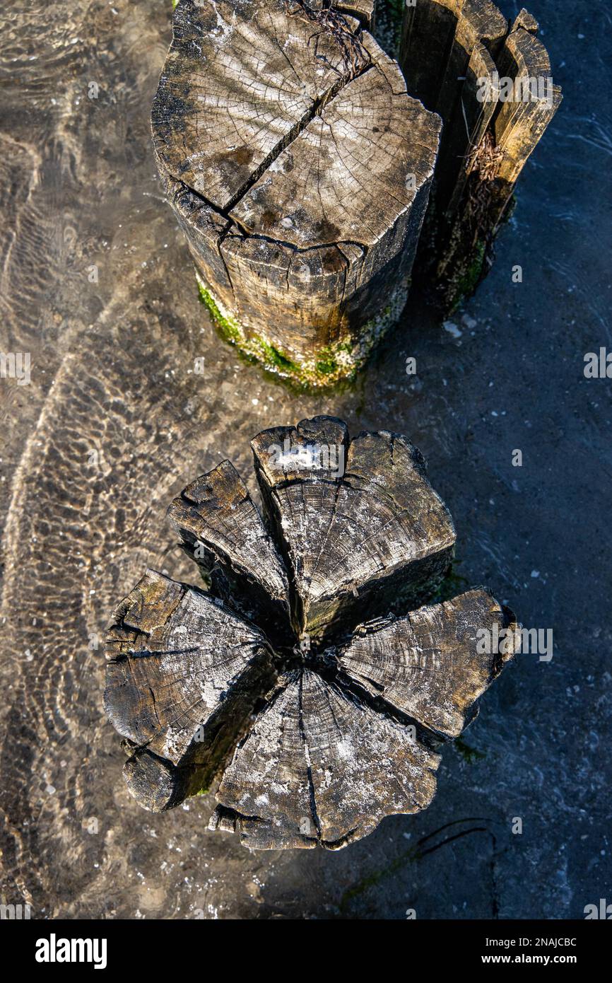 Old groyne zingst hi-res stock photography and images - Alamy