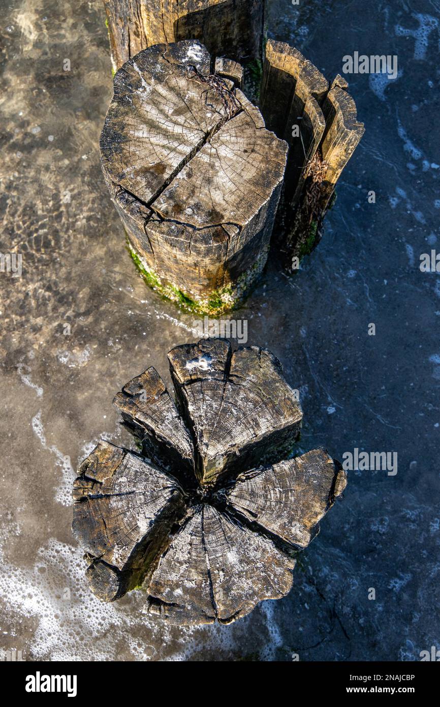 Old groynes from above Baltic Sea beach Stock Photo - Alamy