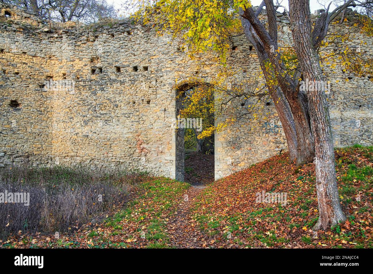 Hakel hi-res stock photography and images - Alamy