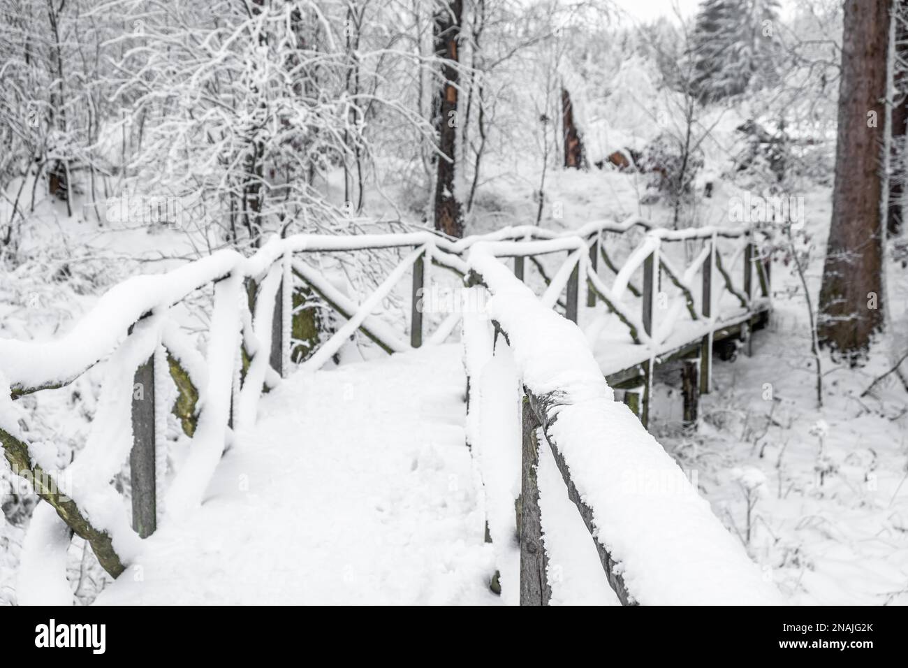 Pear Tree Pond Harz in Winter Stock Photo - Alamy