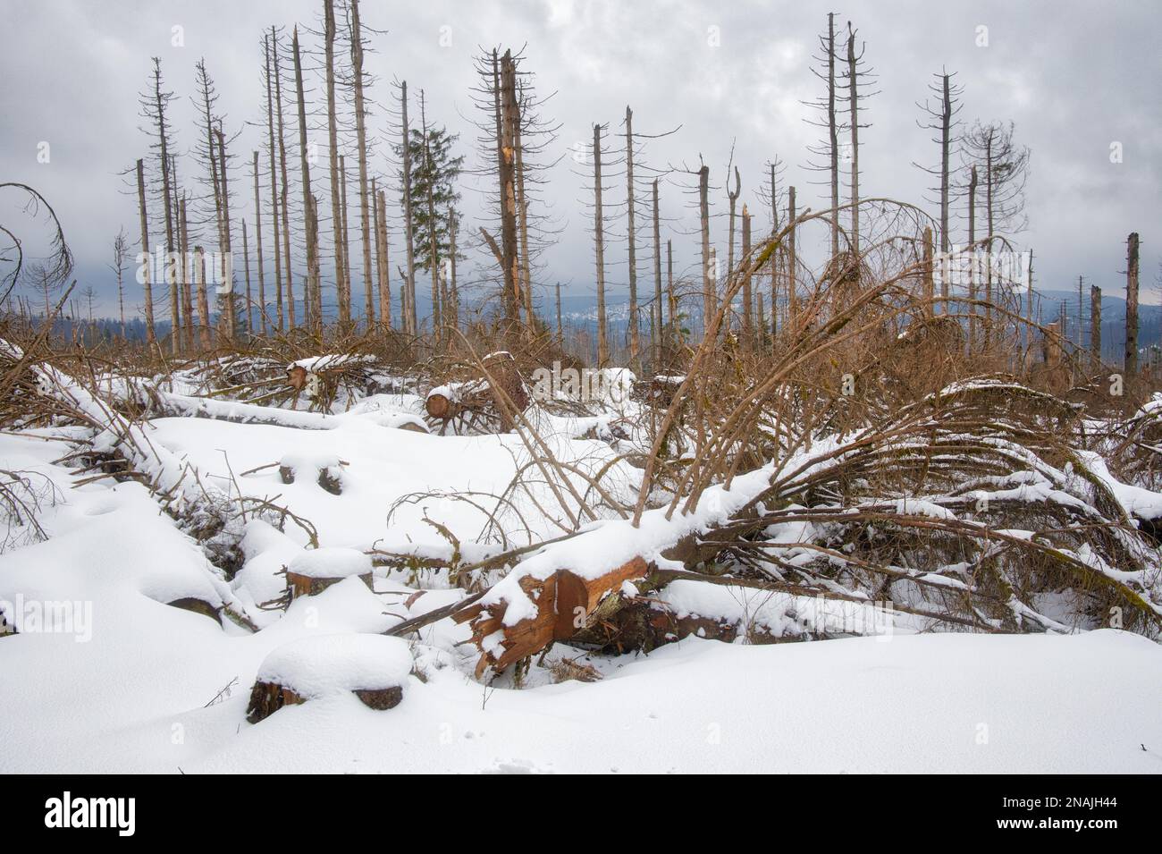 Park map display hi-res stock photography and images - Alamy