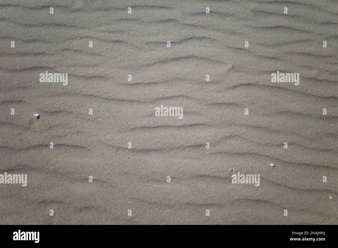 Black and White Background of Lines in the Sand on East Coast Beach ...