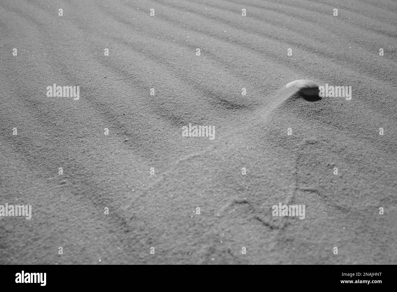 Black and White Background of Lines in the Sand on East Coast Beach ...
