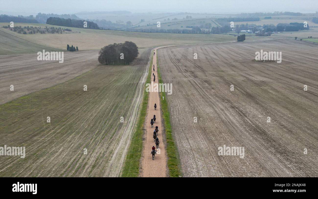 The second group of horses on the gallops during a visit to Nicky ...