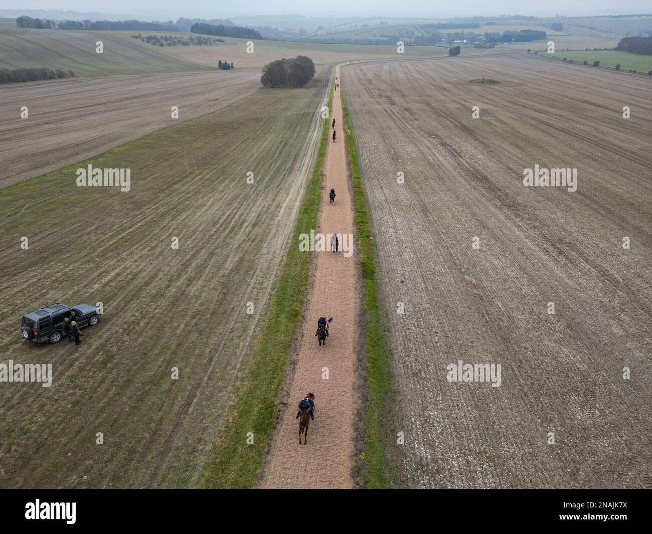 The second group of horses on the gallops during a visit to Nicky ...