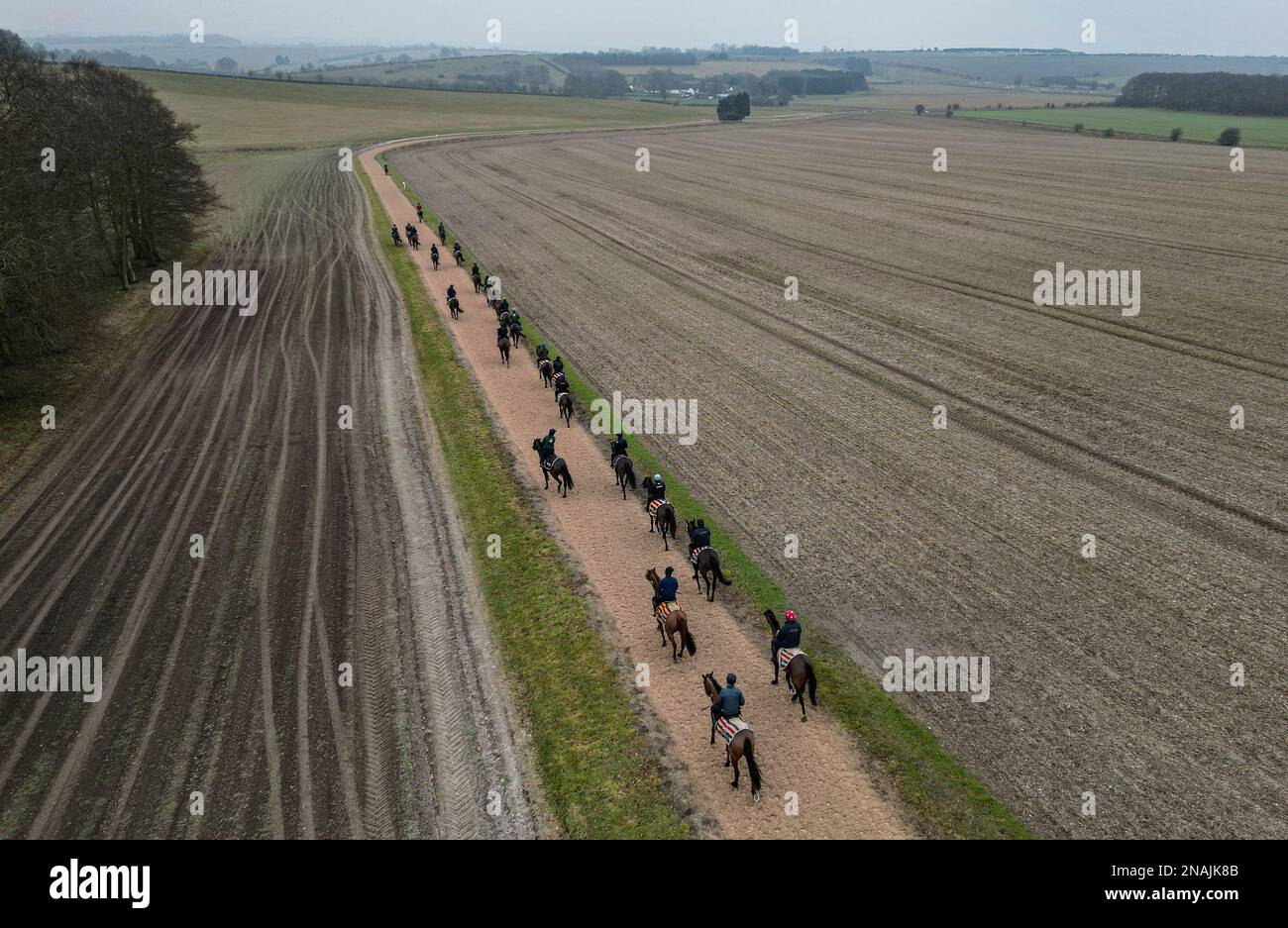 The second group of horses on the gallops during a visit to Nicky ...