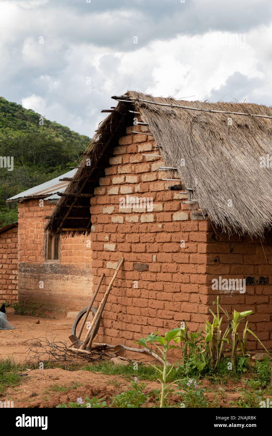 06.02.2023 - Tunduma, Tanzania - Mud brick houses with thatch roofing ...