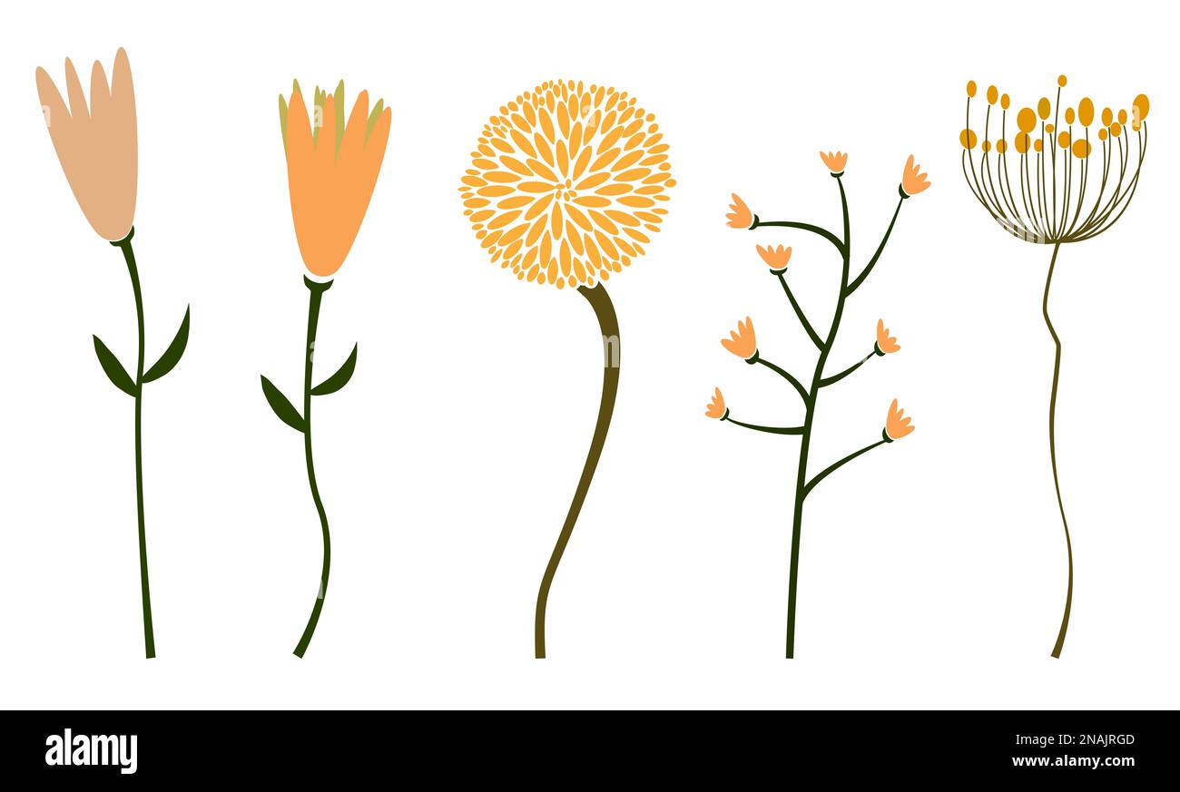collection of abstract flowers isolated on white vector illustration ...