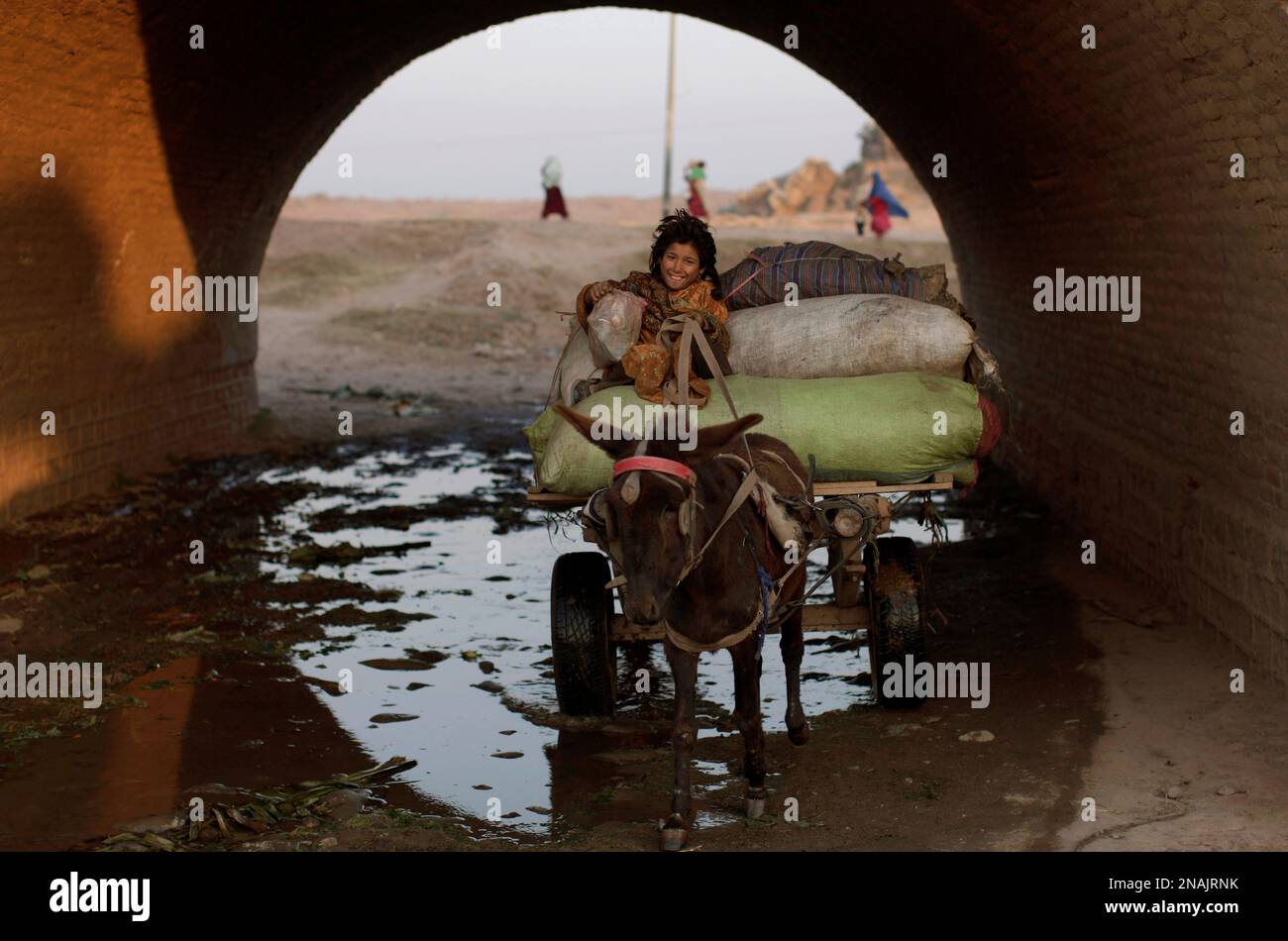 An Afghan refugee girl rides a donkey-cart loaded with bags of straw ...