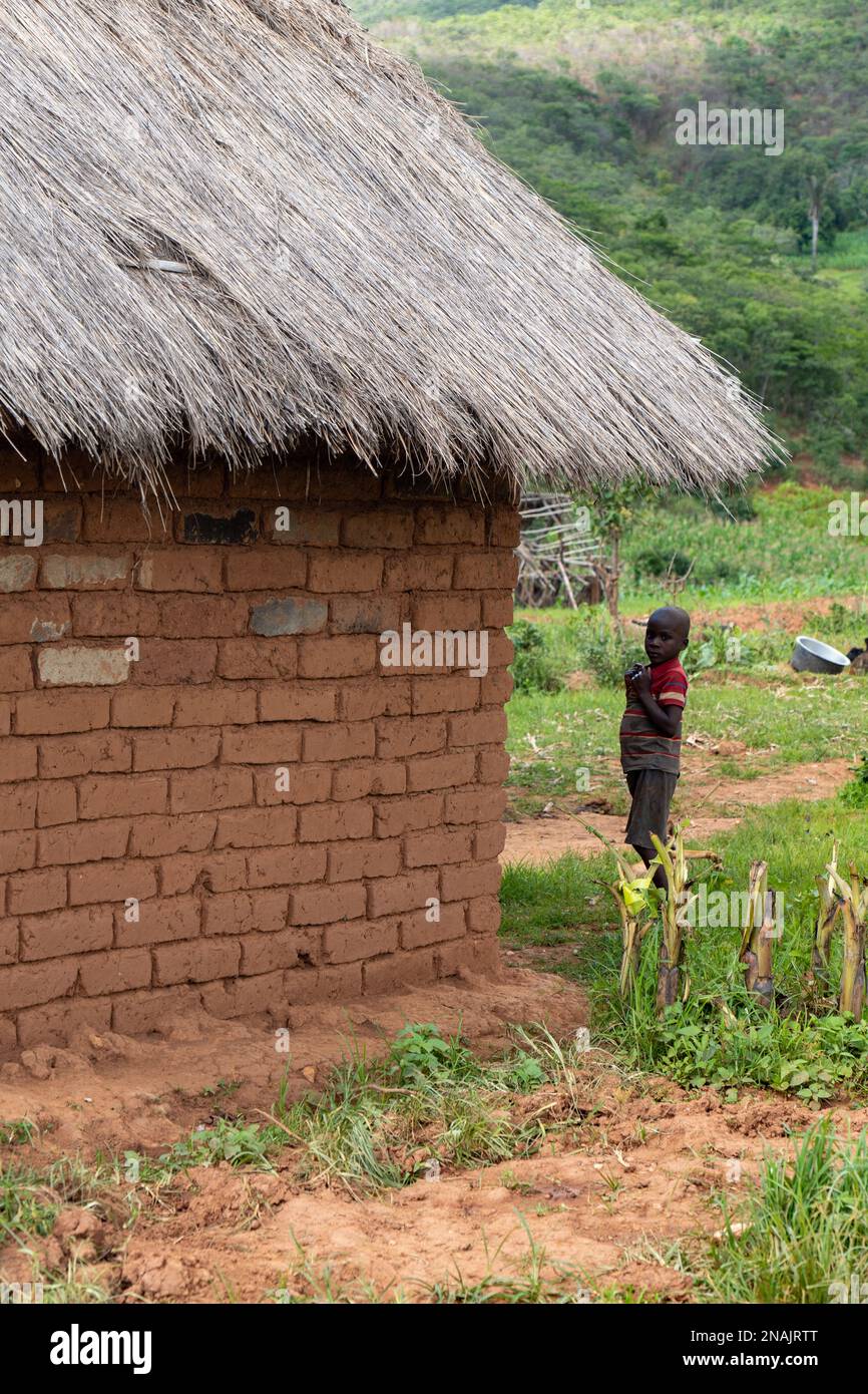 06.02.2023 - Tunduma, Tanzania - Mud brick houses with thatch roofing ...