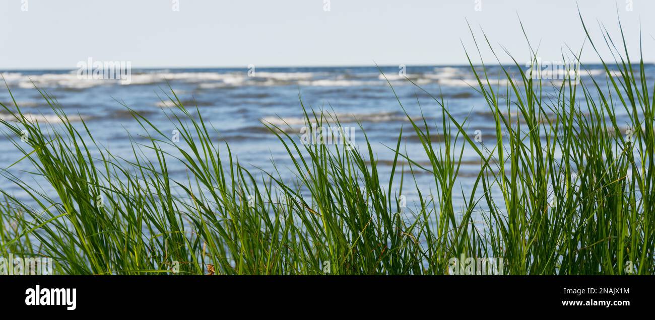 Grass waves hi-res stock photography and images - Alamy