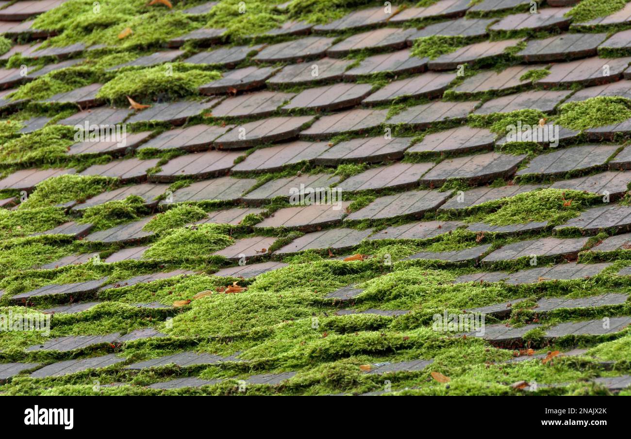 Roof tile tiled hi-res stock photography and images - Alamy