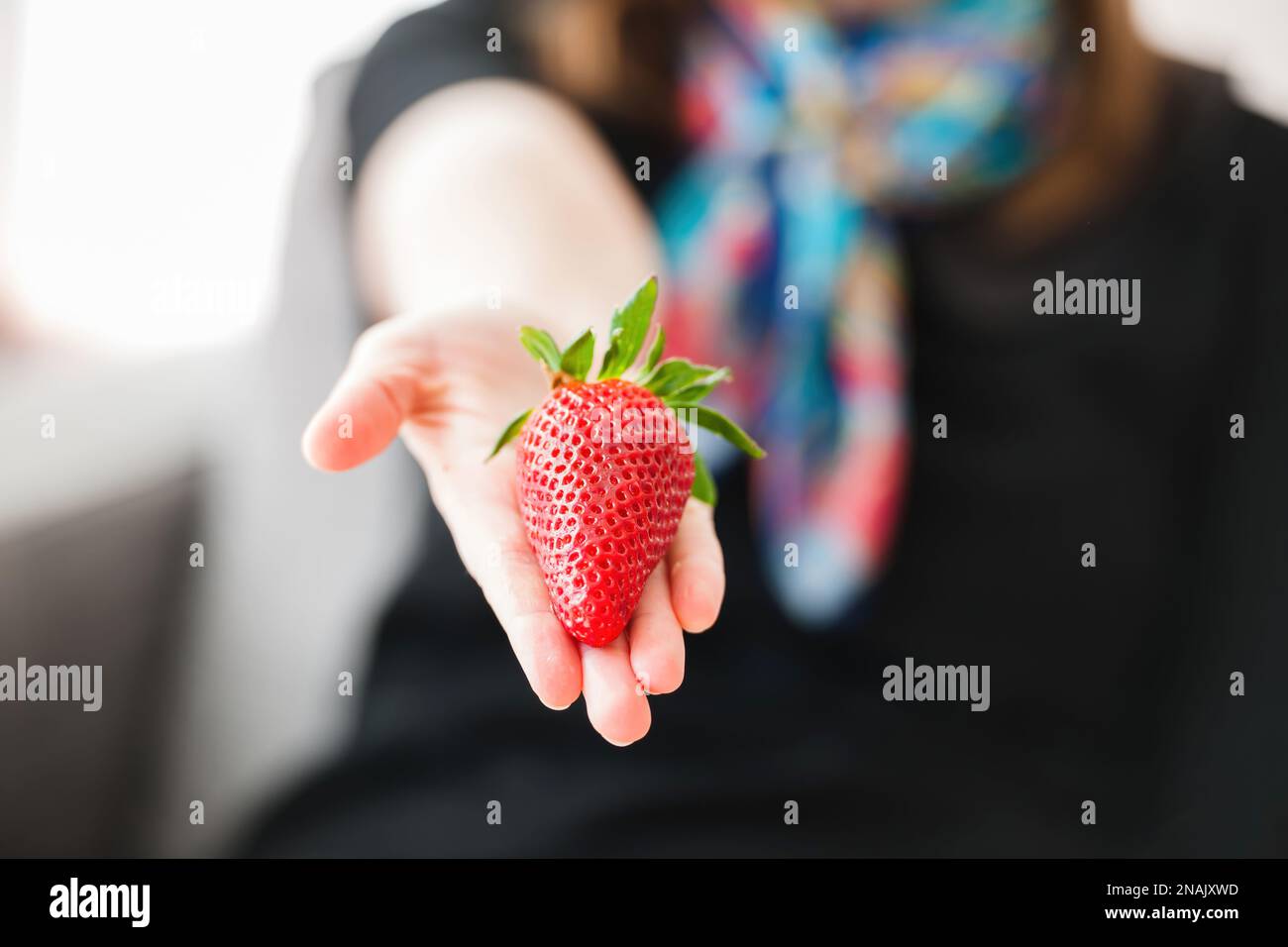 Woman hand offering in her palm enormous huge red strawberry ...