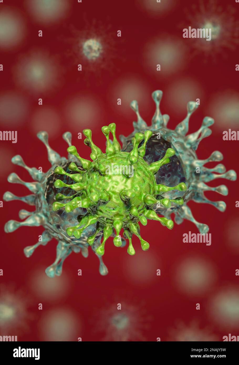 The Coronavirus mutation. 3D illustration in portrait format Stock ...