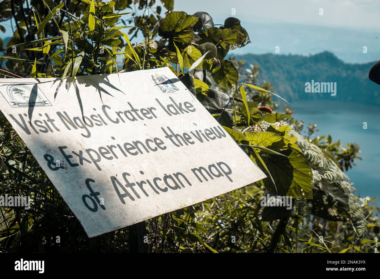 Ngozi (Ngosi) Crater lake in Mbeya, Tanzania, Africa. Second largest ...