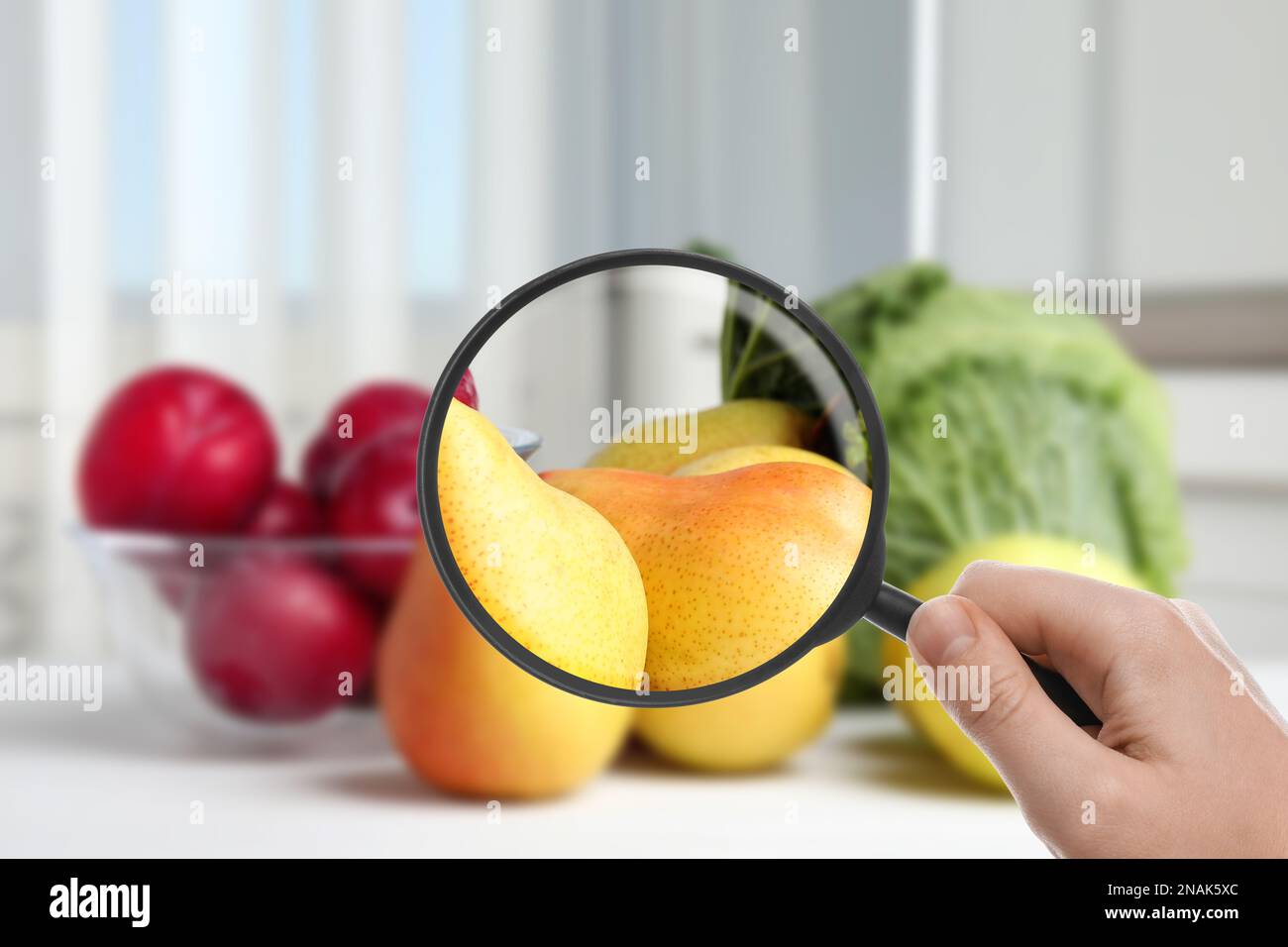 Woman with magnifying glass exploring fruits, closeup. Poison detection ...