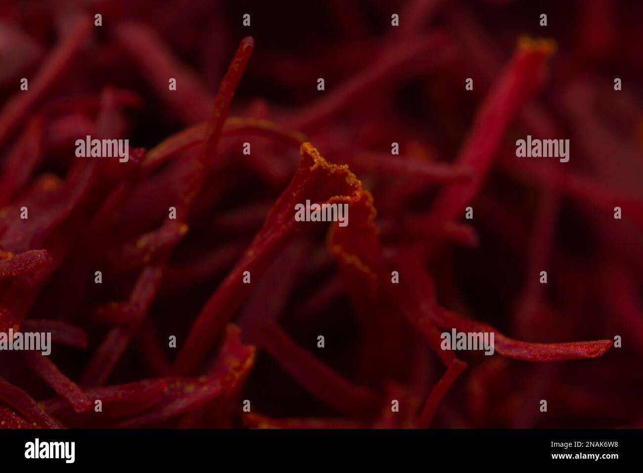 Close up on saffron texture Stock Photo - Alamy