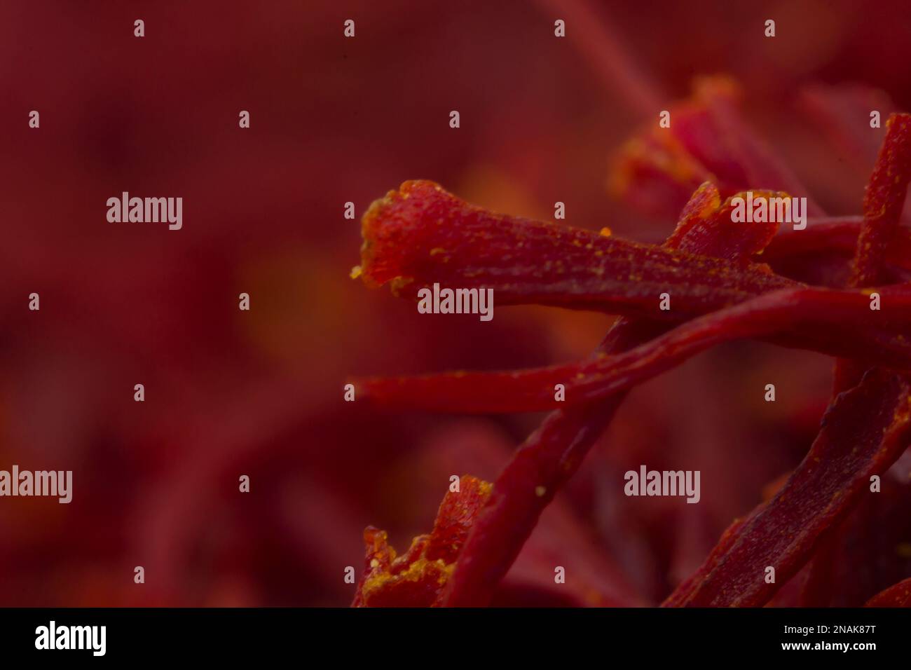 Close up on saffron texture Stock Photo - Alamy