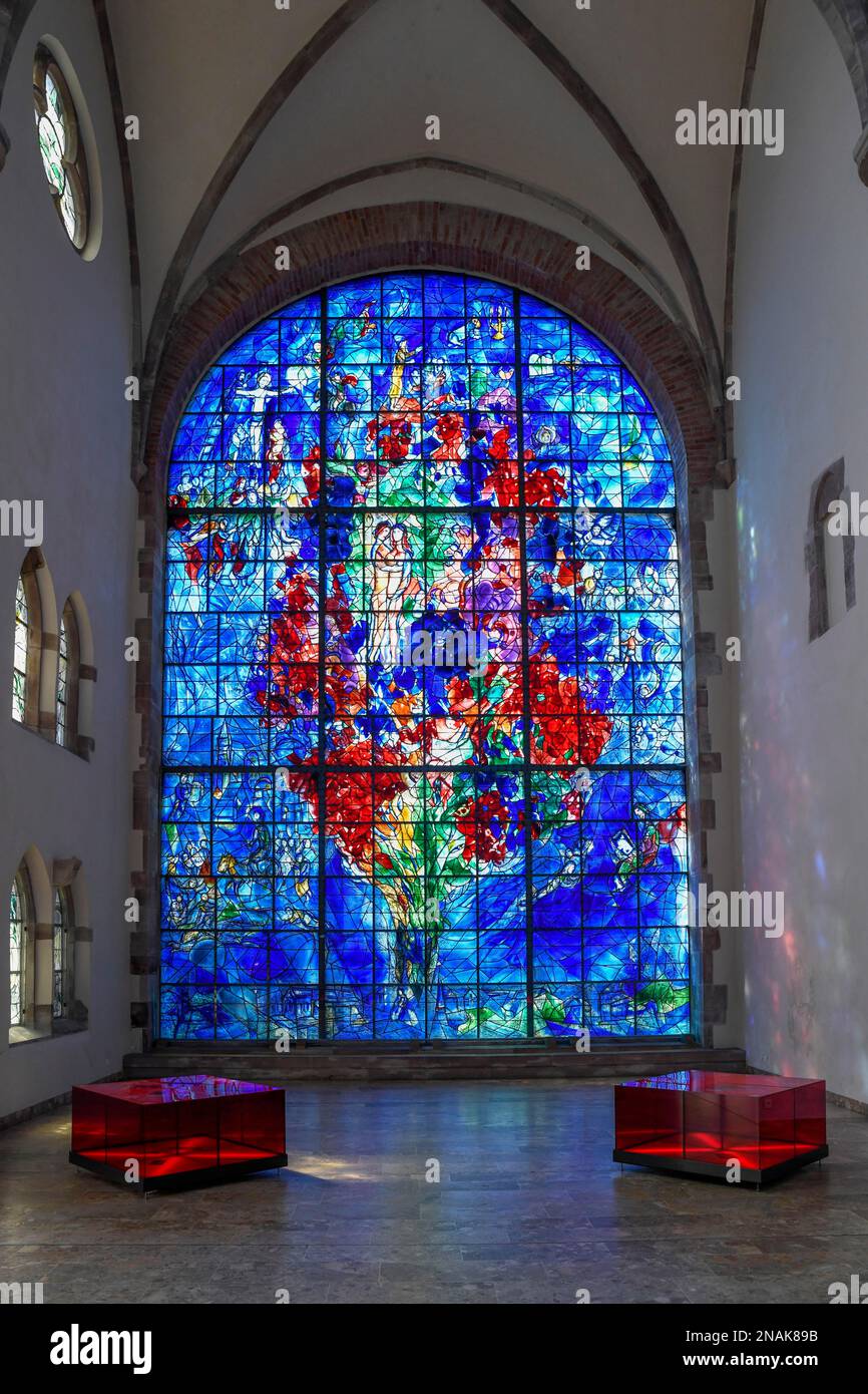 Monumental stained glass window La Paix, the Peace, by Marc Chagall in ...
