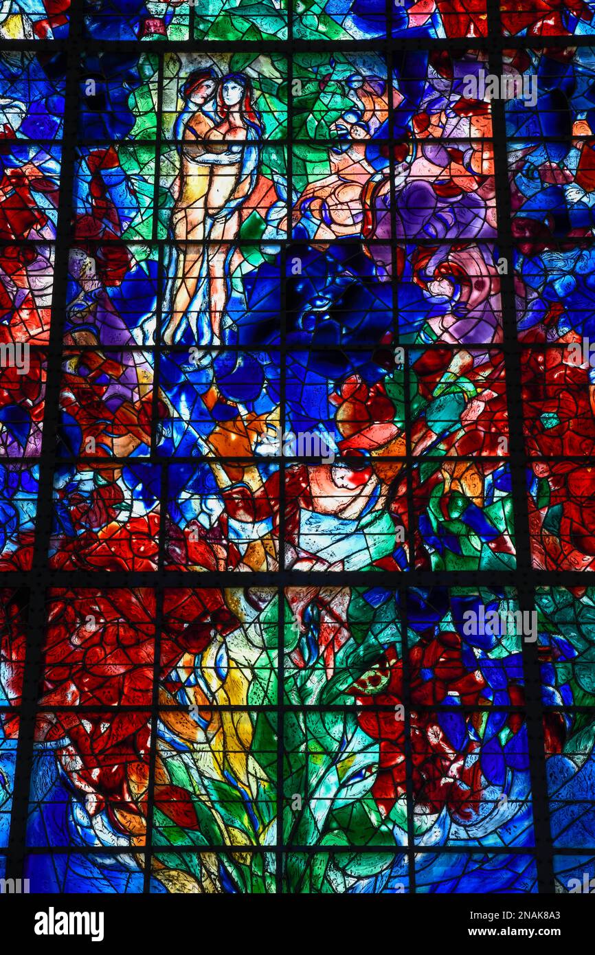Monumental stained glass window La Paix, the Peace, by Marc Chagall in ...
